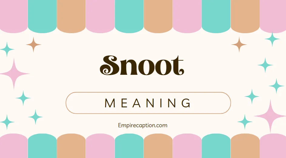 Snoot Meaning: A Deep Dive into the Word’s Use, Origins, and Cultural ...